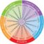 Life Balance Assessment Wheel - 8 Hands Healing